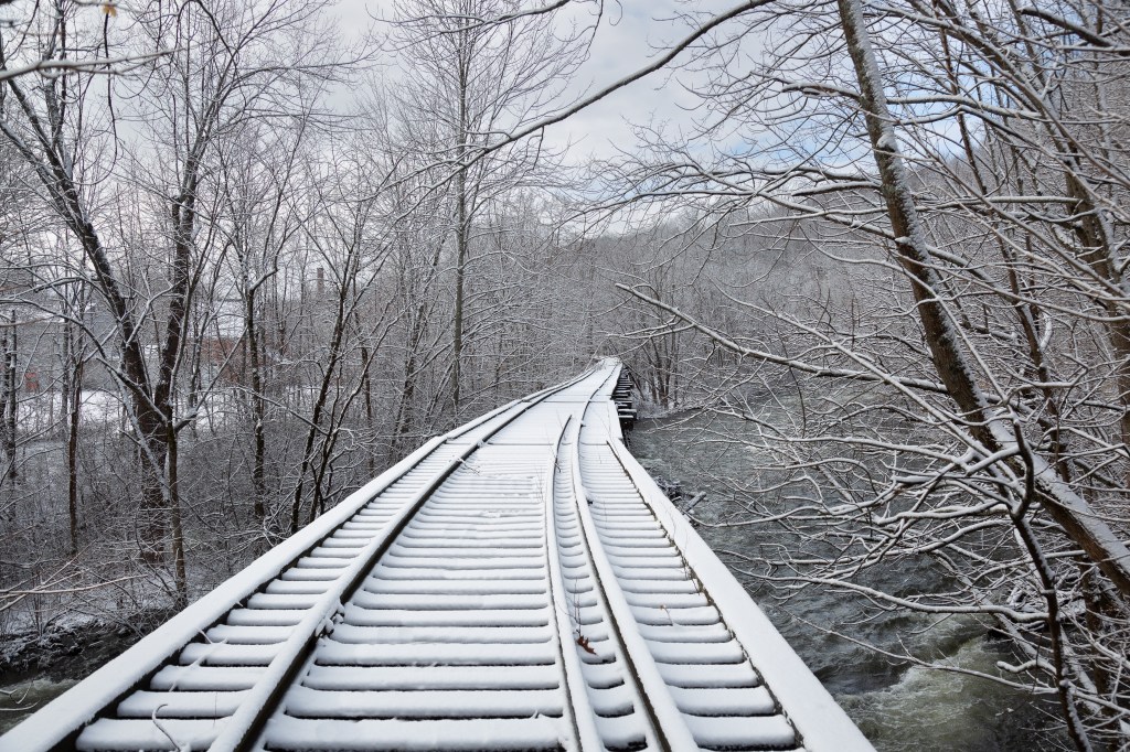 Winter Wonderland – Maine Nature Blog